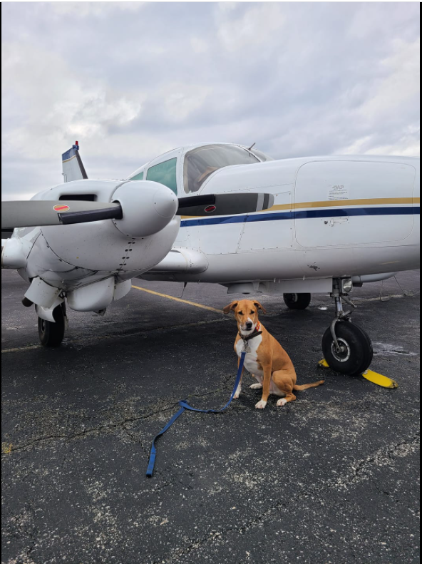 1977 Piper Aztec PA-23-250F Turbo for sale