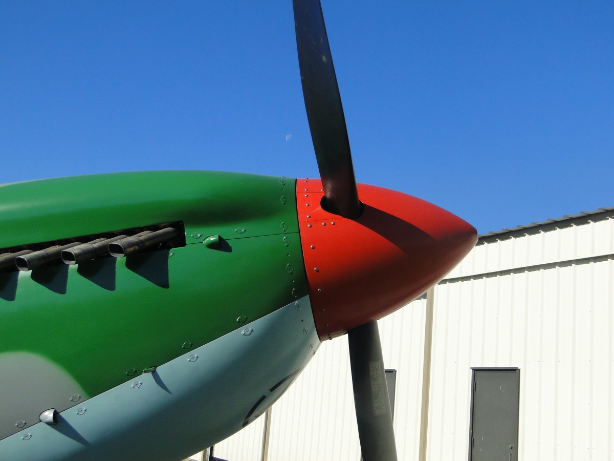 2018 Balz Gunther Spitfire for sale