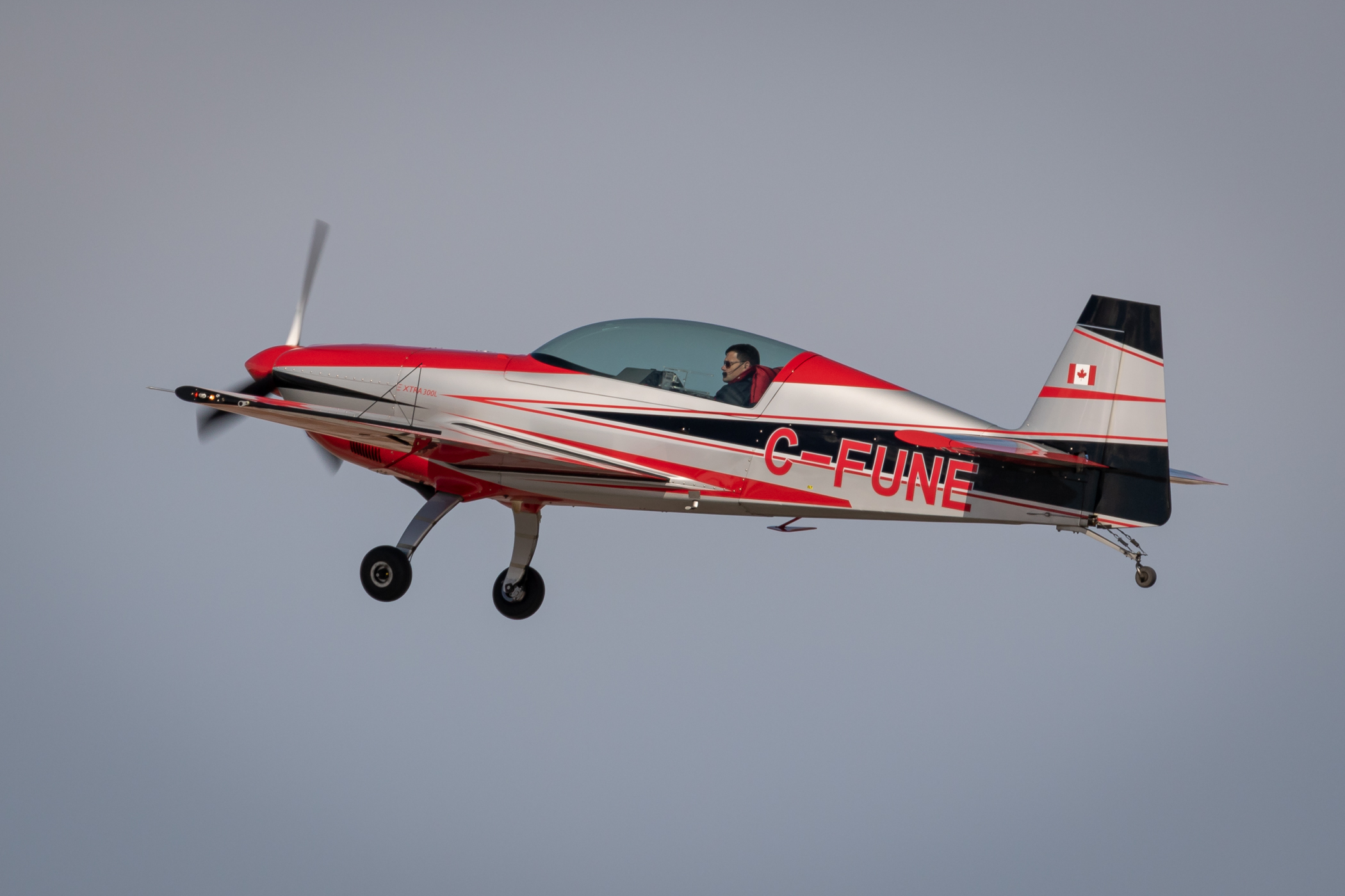 2005 Extra EA-300L for sale