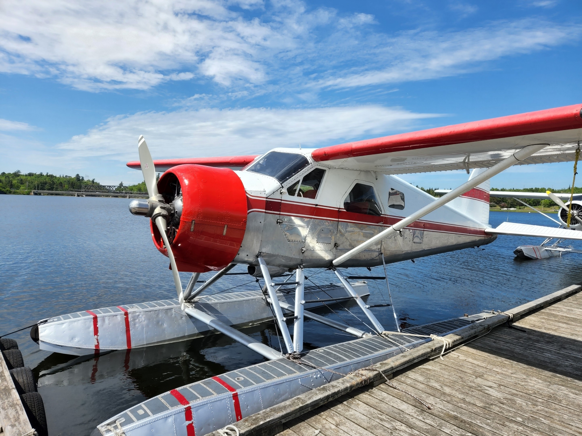 1948 DeHavilland DHC-2 for sale