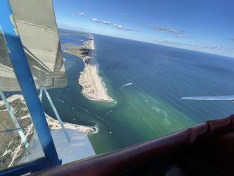 1931 Brunner-Winkle Bird for sale