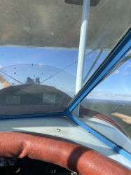 1931 Brunner-Winkle Bird for sale