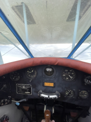 1931 Brunner-Winkle Bird for sale