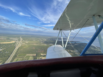1931 Brunner-Winkle Bird for sale