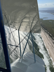 1931 Brunner-Winkle Bird for sale