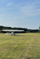 1931 Brunner-Winkle Bird for sale