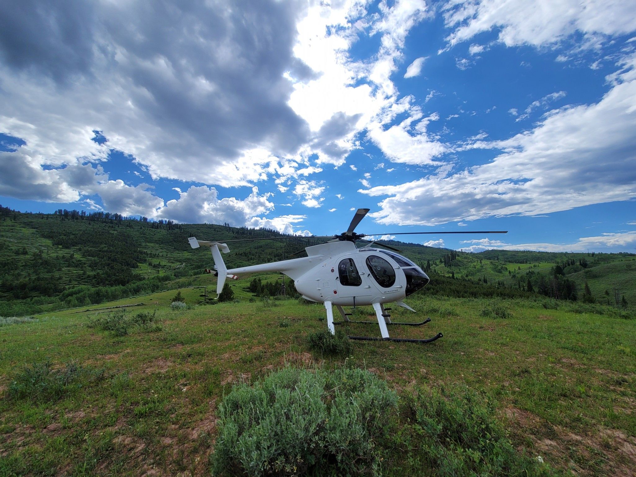 2020 McDonnell Douglas 530F for sale