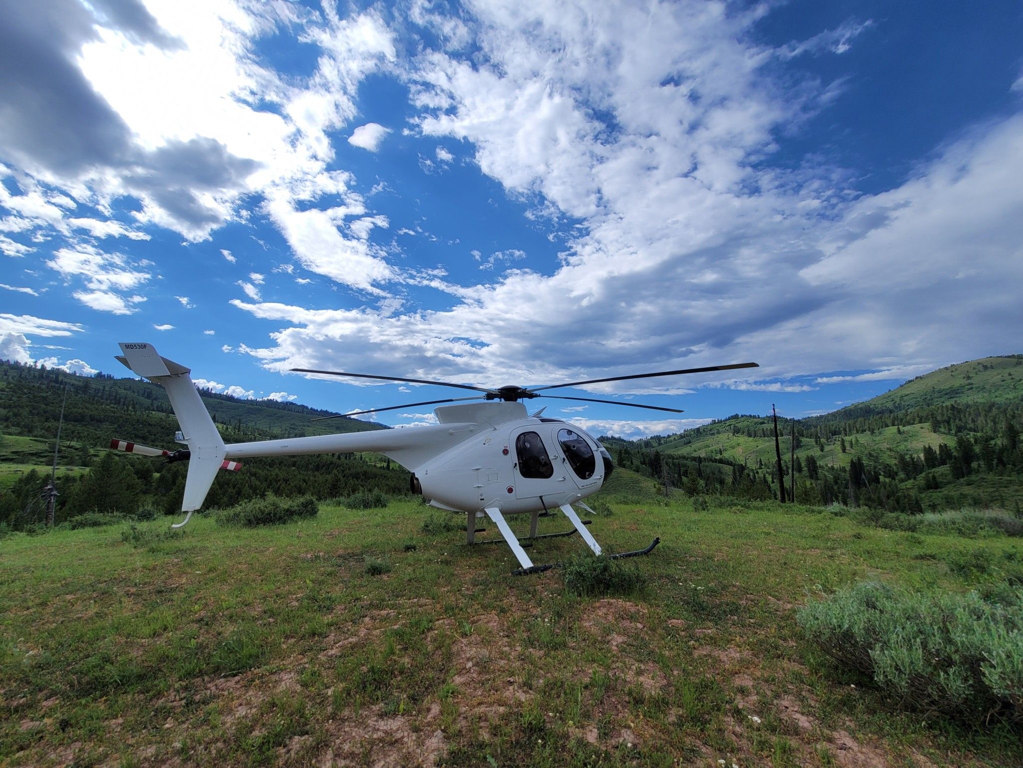 2020 McDonnell Douglas 530F for sale